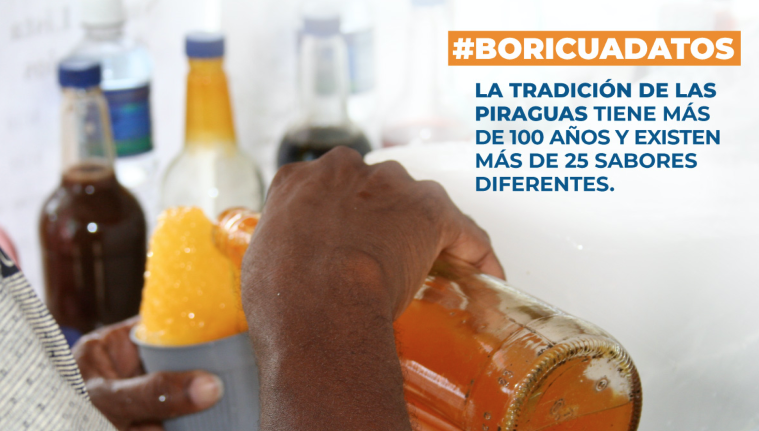 Datos curiosos de las piraguas – PSM